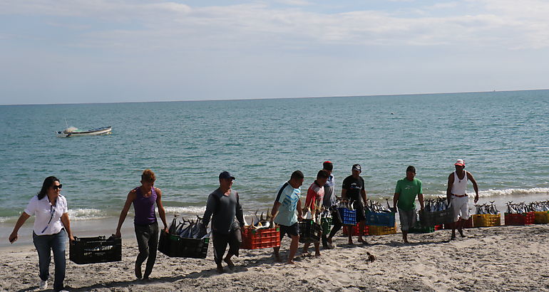 Día Mundial De La Pesca
